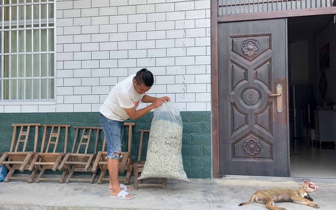 莓茶喝过吗?农村小伙看莓茶,记录了这些