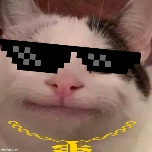 油炸猫猫头XD 