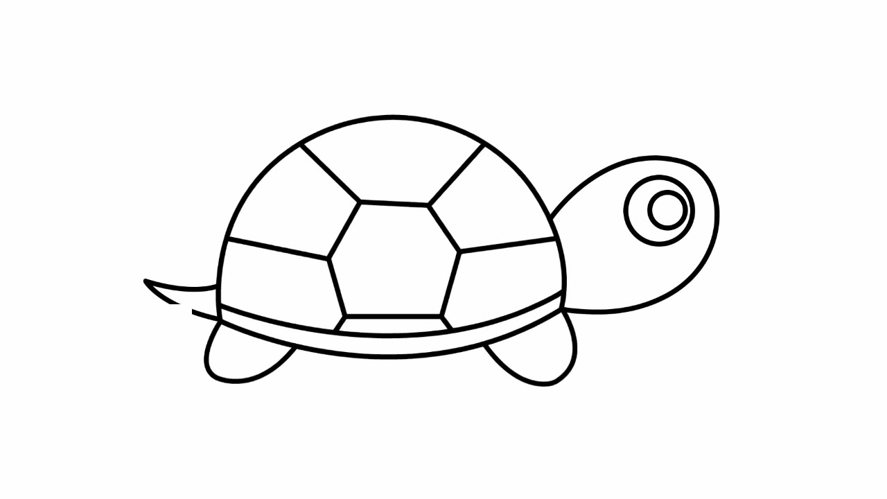 简笔画:教你超简单的画只有硬壳可爱的小乌龟,带宝宝一分钟学会