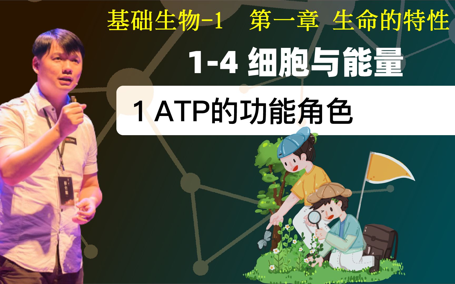 基础生物学 1-4.1 ATP的功能角色