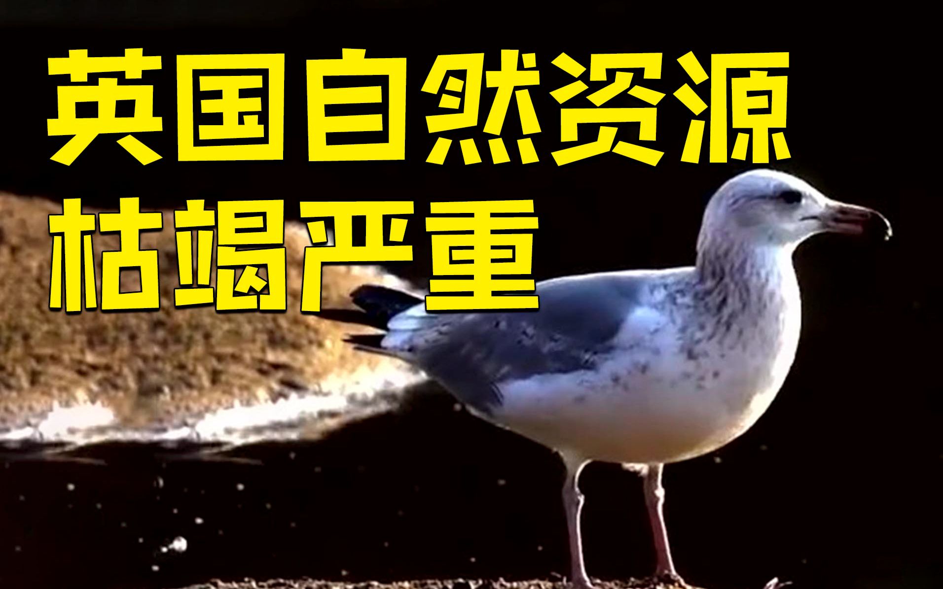 研究发现:英国是自然资源枯竭最严重的国家之一