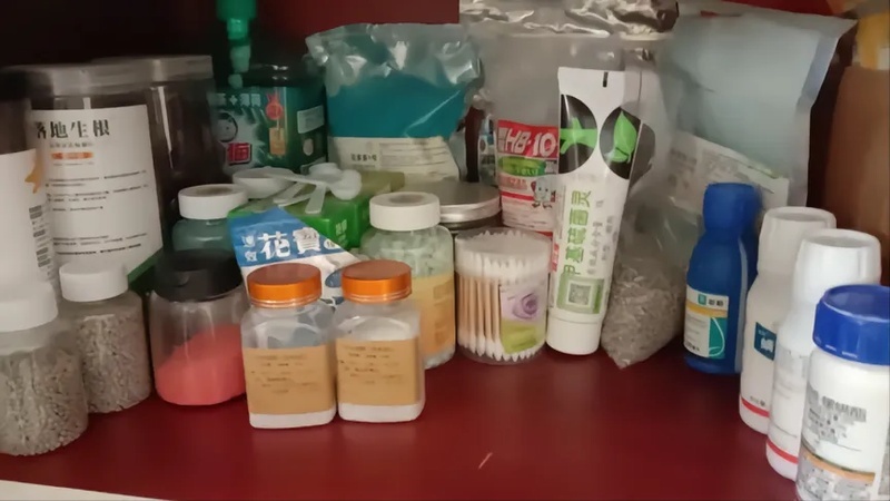 兰花各个阶段所需肥料用法及用量