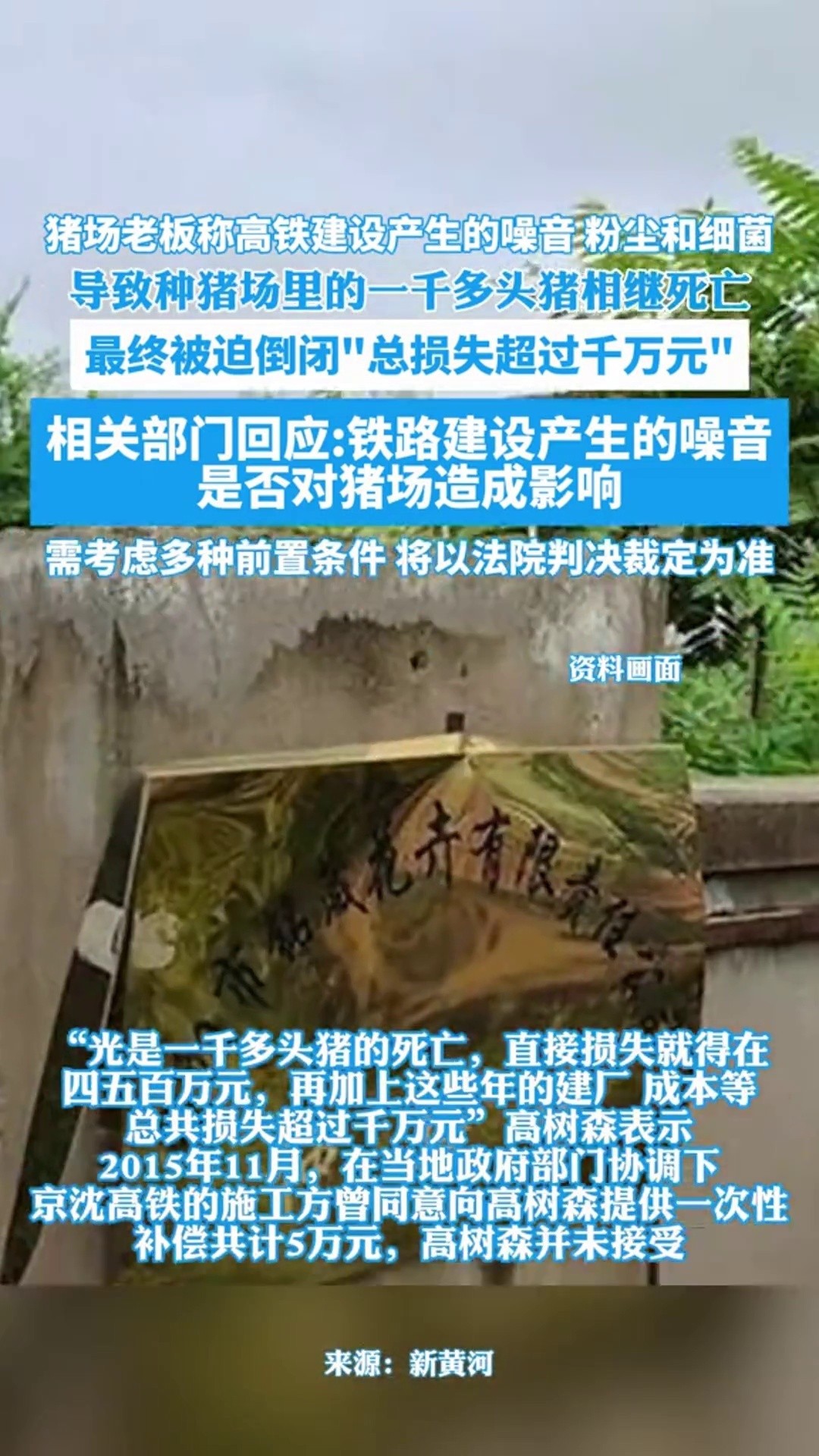 猪场老板称高铁建设产生的噪音 粉尘和细菌 导致种猪场里的一千多头...
