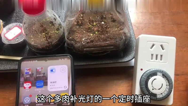 各种定时插座体验,补光灯插座选择