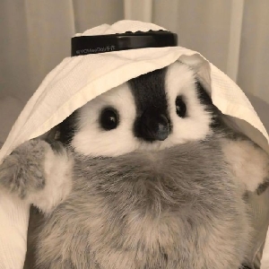 复刻春日s 