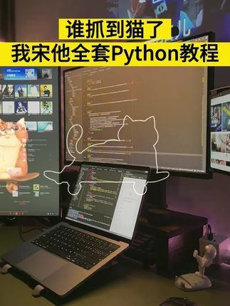 拼手速的时候到了,全套Python编程学习教程