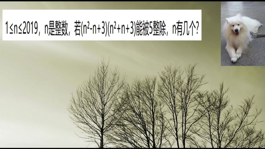 n的四次方+9能被5整除吗