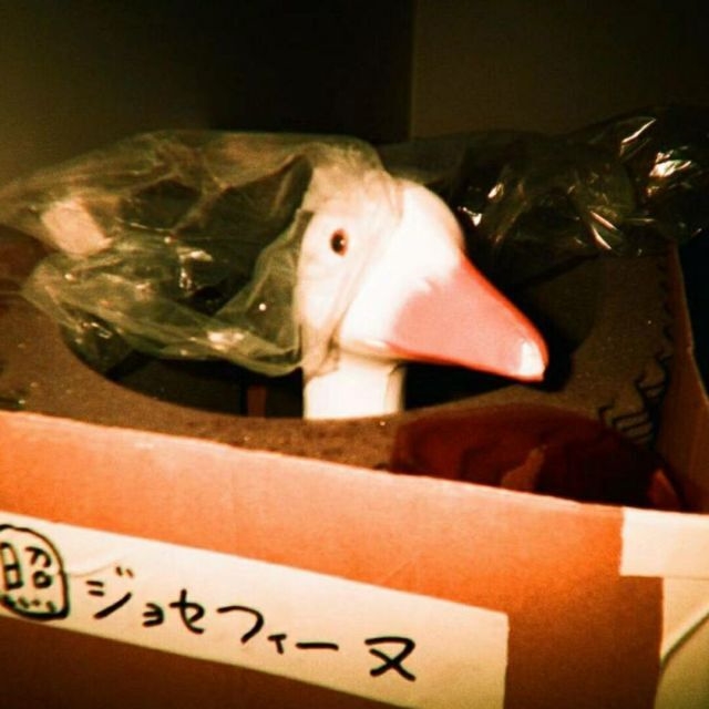 苏汶鑫 