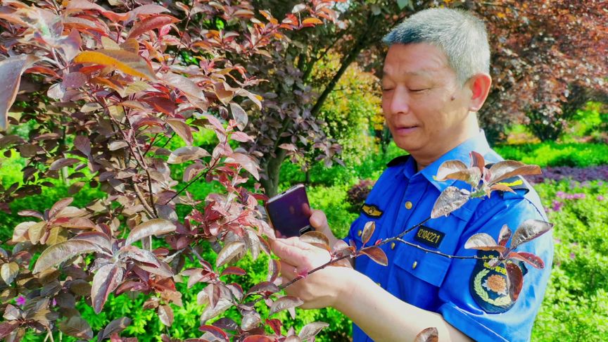 为城市的绚烂色彩,这抹“城管蓝”,绽放着最美的光芒