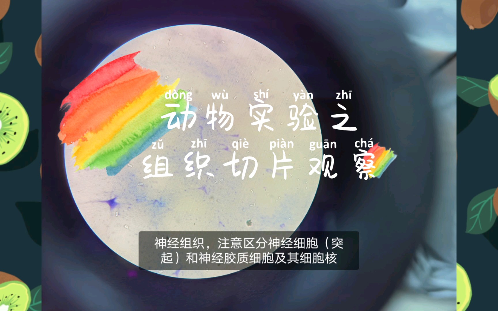 动物实验复习第二弹～组织切片
