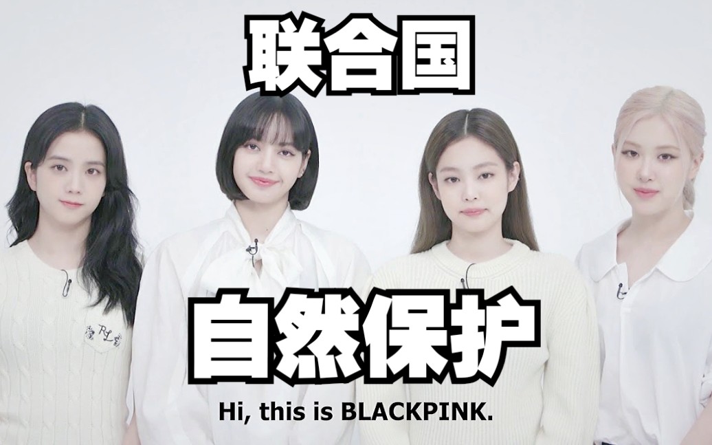 【中字】英语太苏了!BLACKPINK联合国环境保护宣传!