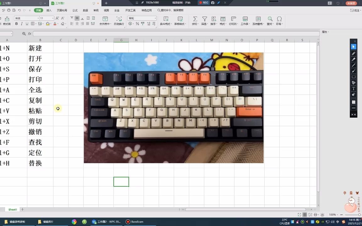 零基础学习WPS办公表格软件,适合零基础新手朋友在家学习
