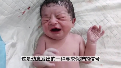 刚出生的宝宝被冷落一旁,随后发生的事情竟让妈妈忍俊不禁!