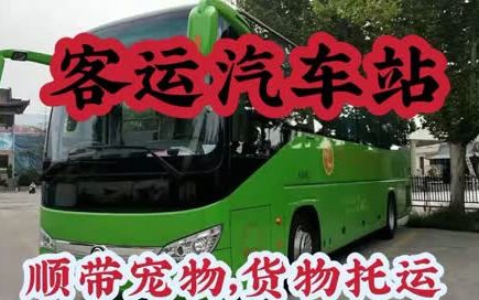 ...客车班次(l52一50一666一980)济南到湛江汽车票时刻表及班次查询