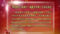 政协黑龙江省第十一届委员会第一次会议决议[黑龙江新闻联播]