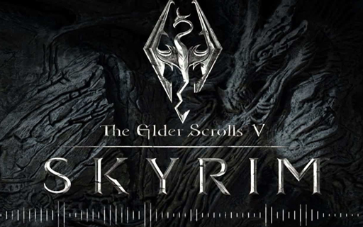 《上古卷轴5》预设?面膜?可不捏脸MOD