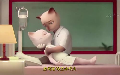 小五动漫-可怜的小猫一家