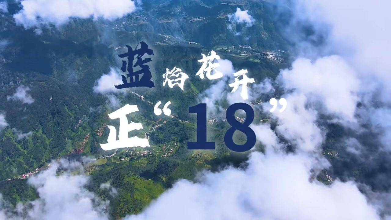 ...学生志愿服务西部计划中18名云南消防专岗大学生志愿者被全国项目...