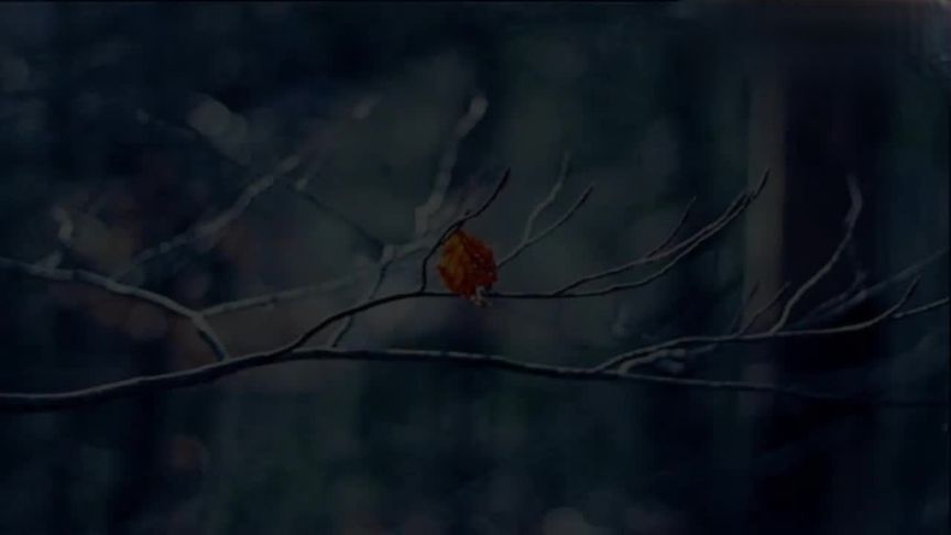 朗诵老舍的《我的母亲》,感人落泪!