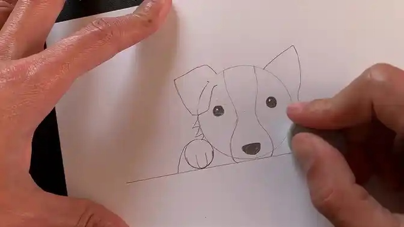 零基础也能画!3步掌握画小狗最简单的方法