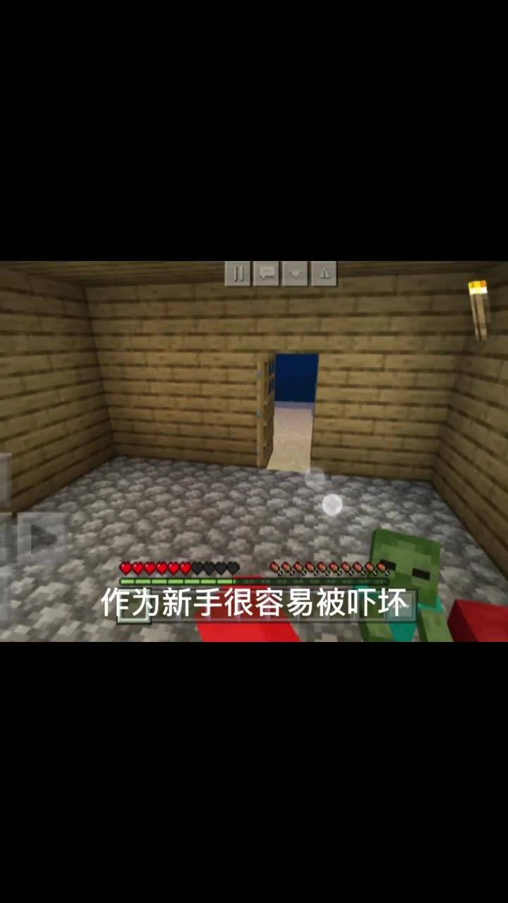 游戏:我的世界防怪装置