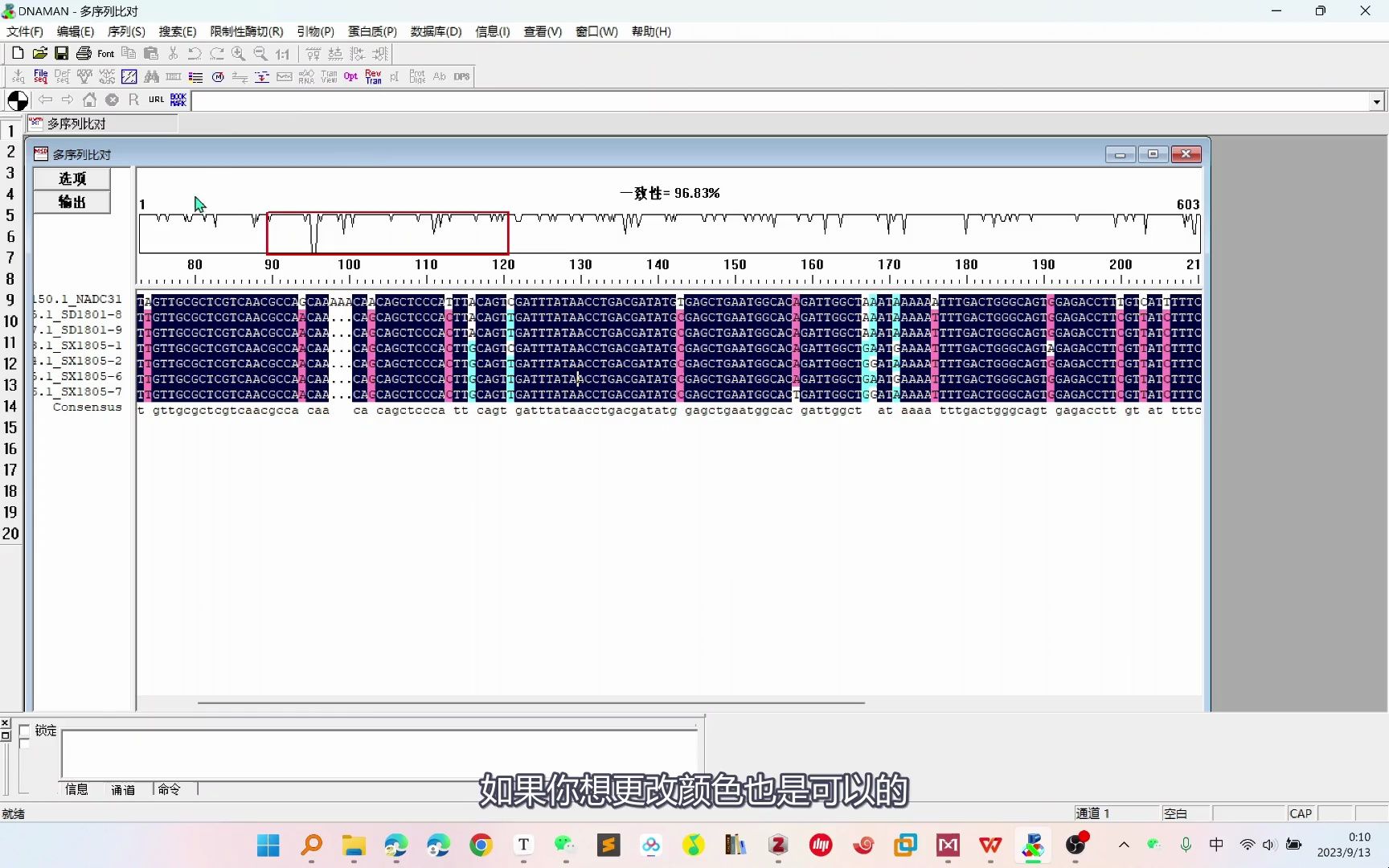 MEGA与DNAMAN多序列比对简单教程