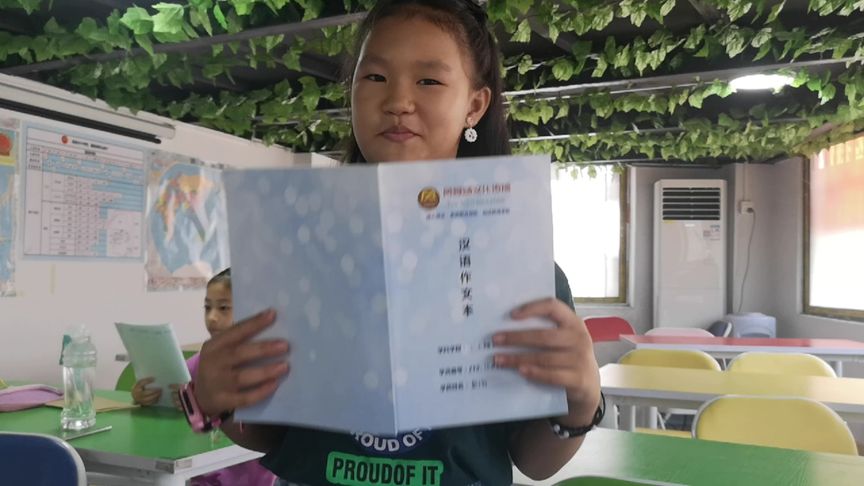 小学生作文点评。