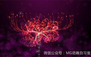 美呆了!AE制作绚丽的三维粒子彼岸花!