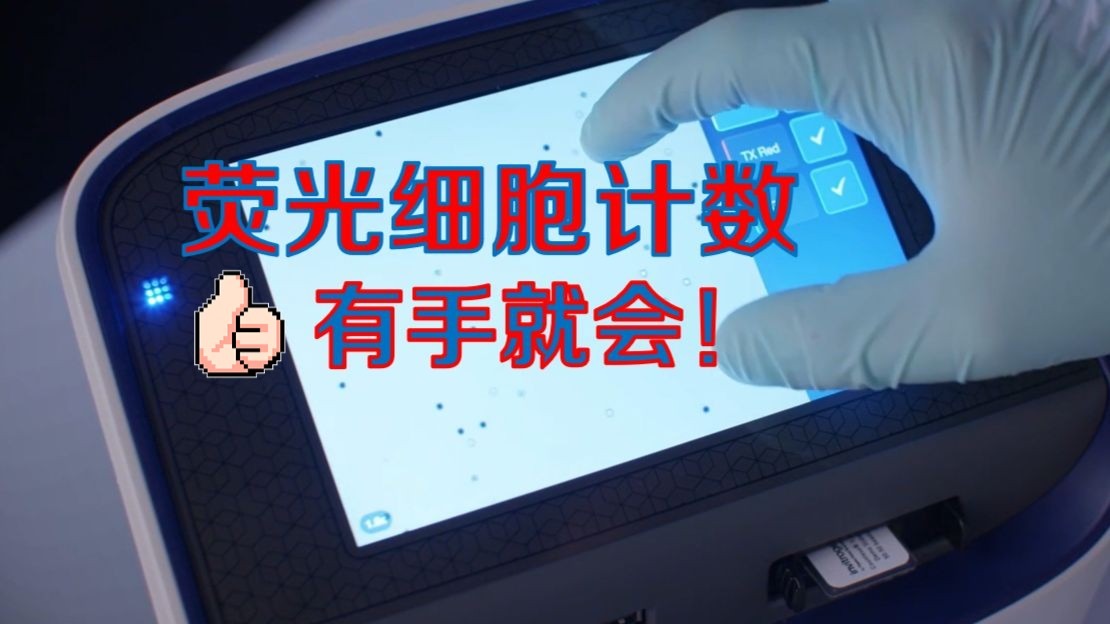 Countess 3 荧光细胞计数,手残党福音!