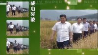 超级水稻电视宣传片片头