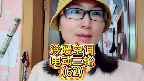 冷暖空调电动三轮车升级!燃油版同款震撼登场,舒适出行新选择