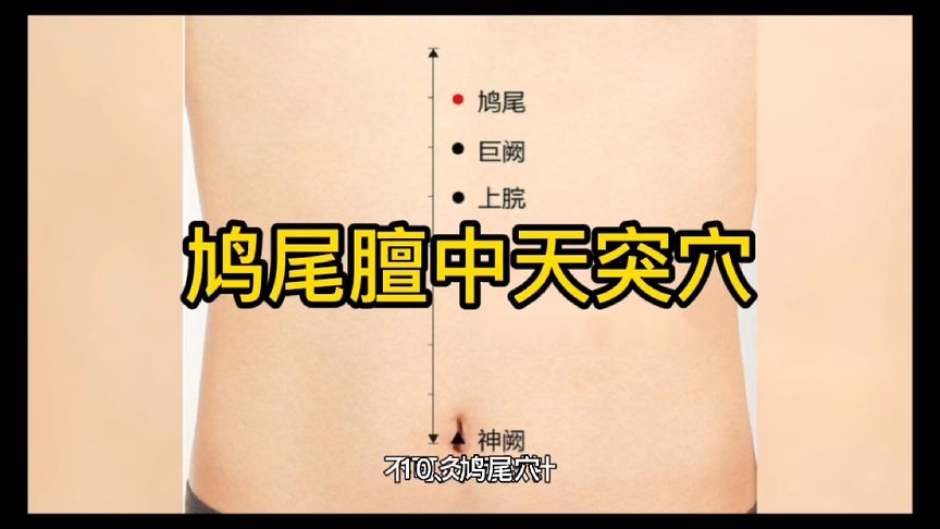 跟倪海厦学《针灸》鸠尾膻中天突穴