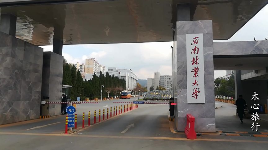 云南昆明,西南林业大学,带您参观一下