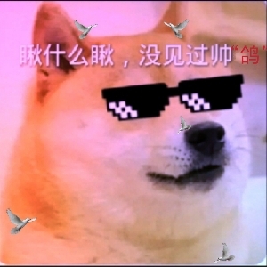 Doge不鸽 
