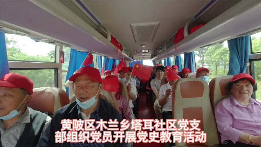 黄陂区木兰乡塔耳社区党支部组织党员开展党史教育活动
