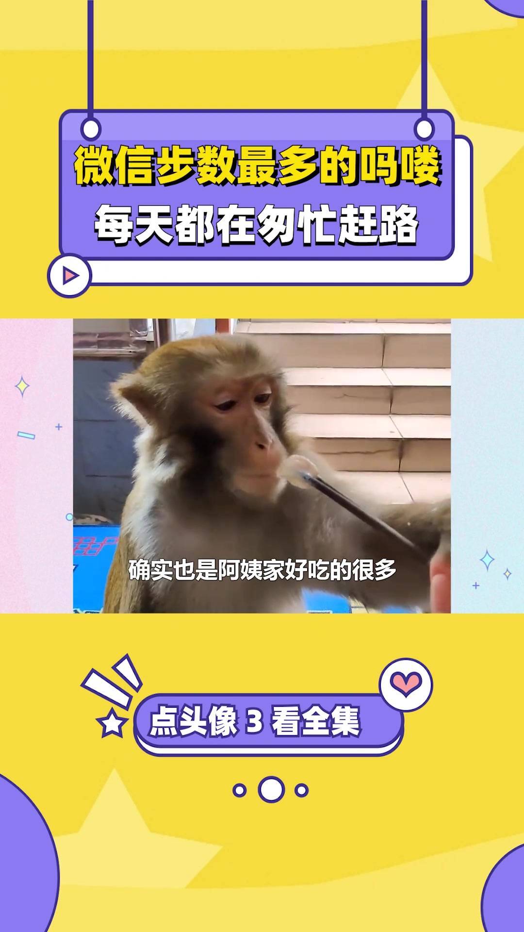 全网微信步数最多的吗喽,不接受游客的投喂