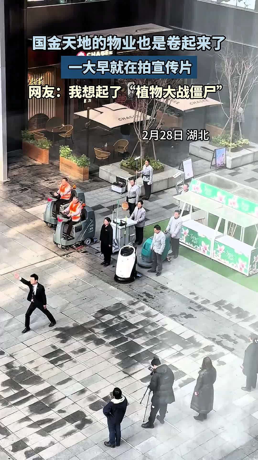 物业一大早就在拍宣传片,看着怎么那么像"植物大战僵尸"呢