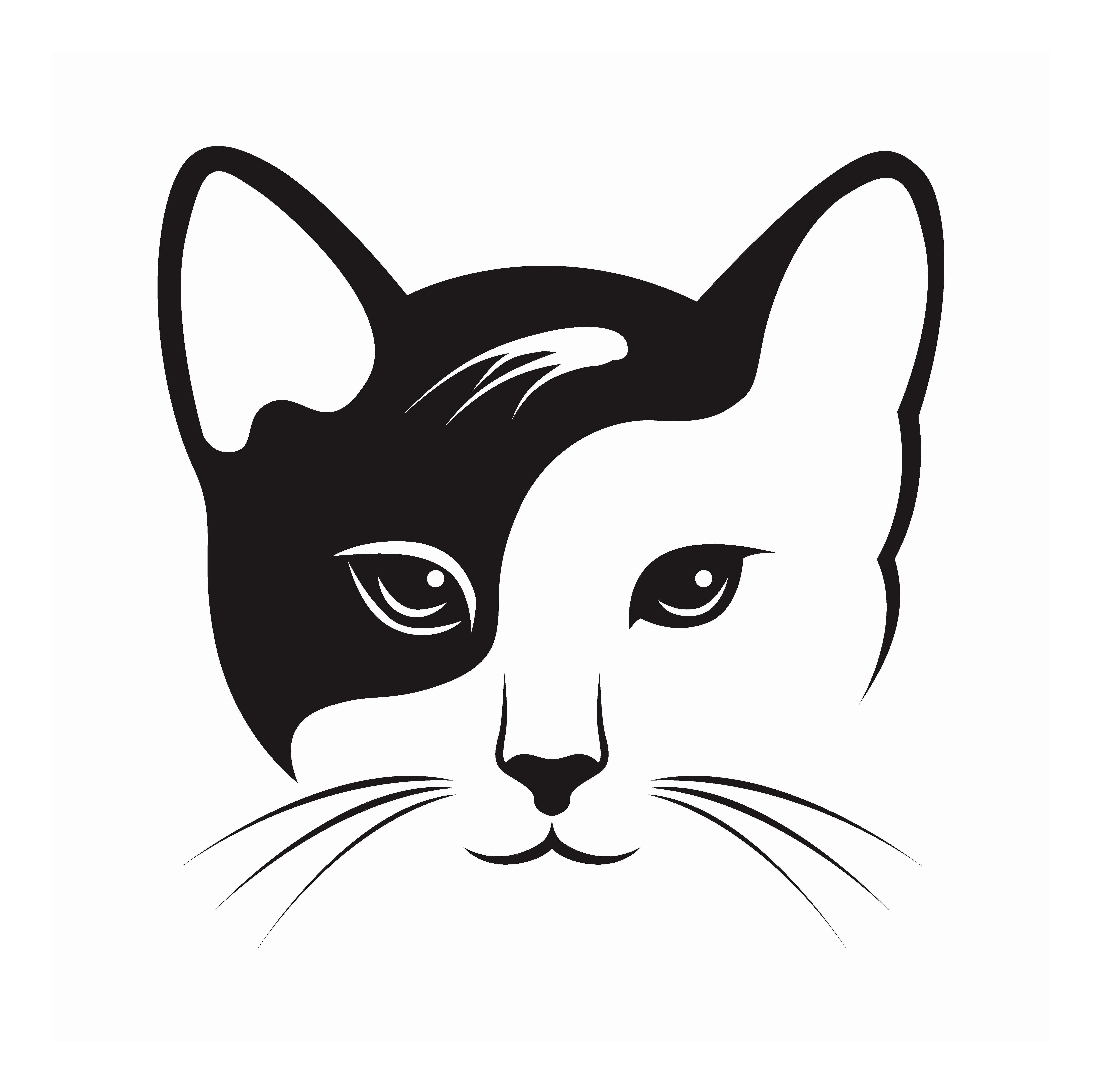 猫白oO 