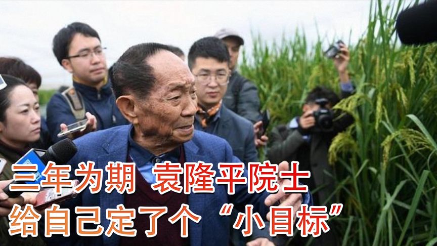 三年为期,袁隆平院士给自己定了个“小目标”