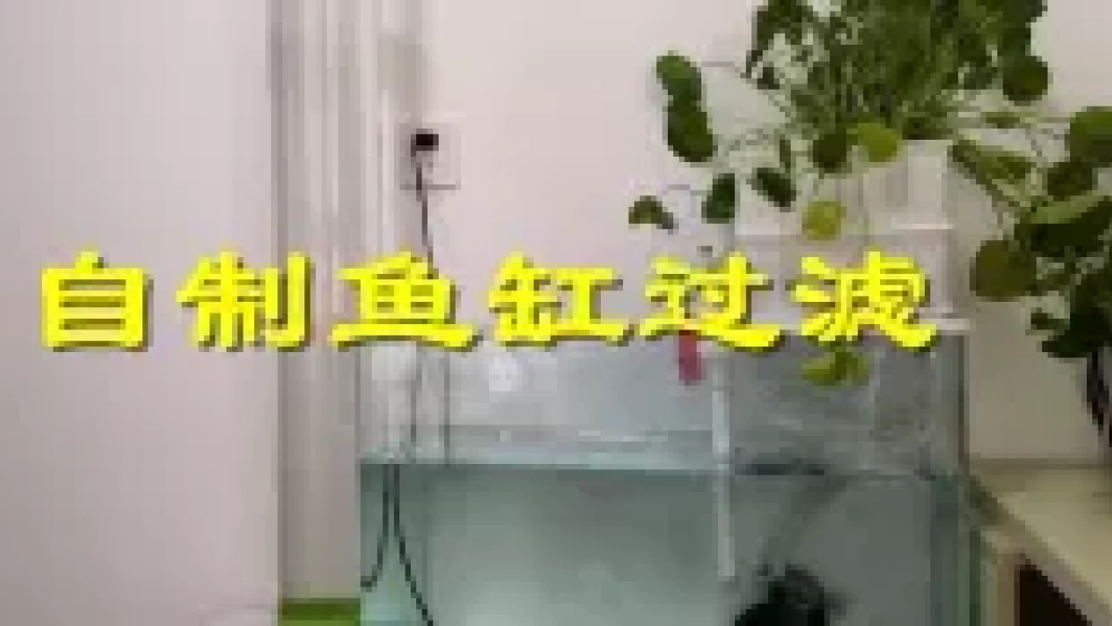 DIY鱼缸过滤盒,周转箱加水管改装的植物过滤,既美观又实用!