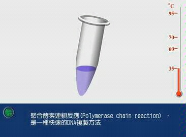 PCR技术