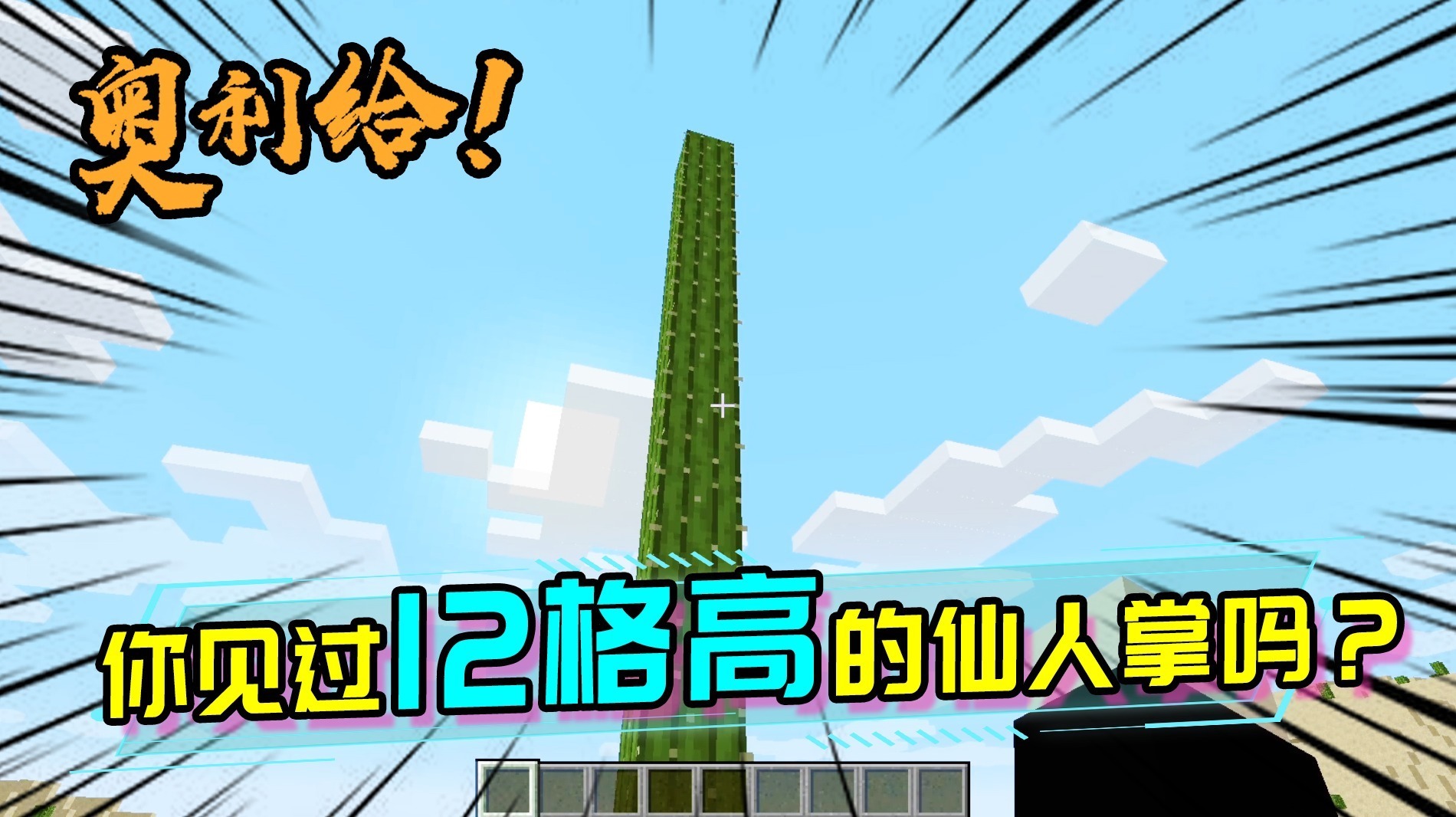 MC种子:12格高自然生成的仙人掌,天然就被激活的末地传送门