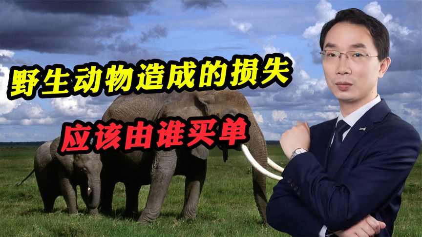 野生动物造成的损失,应该由谁来承担?《动物保护法》这样规定