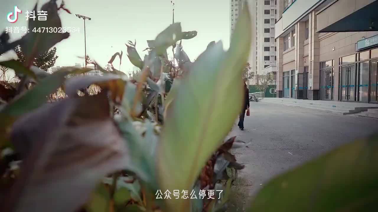 网警破获通过"AI换脸"技术非法侵入计算机信息系统案