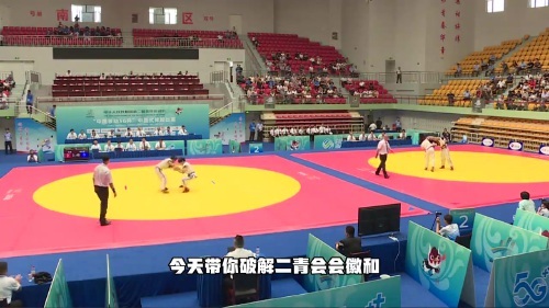 二青会的会徽和吉祥物图片的寓意