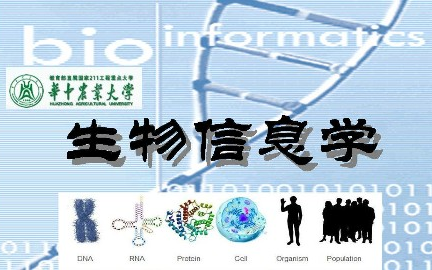 生物信息学_华中农业大学_主讲-王石平 29讲