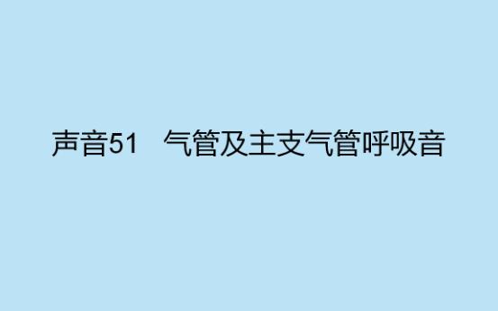 声音51 气管及主支气管呼吸音