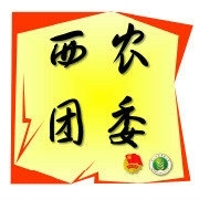 西农小团 