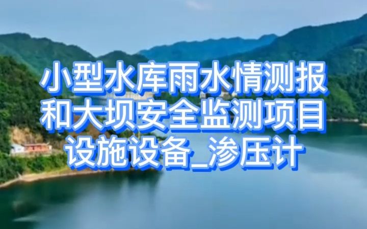 小型水库雨水情测报和大坝安全监测项目_渗压计