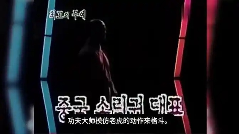 少林功夫大师VS空手道大师!千万别惹少林和尚!